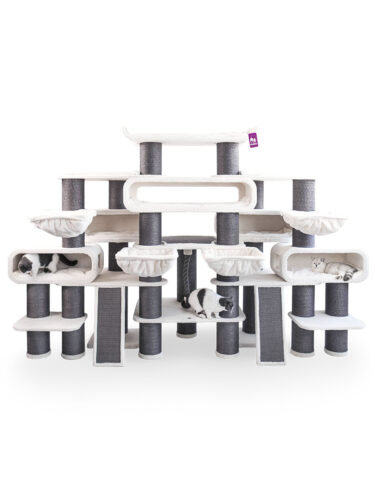 Cat Tree Expert: suitable for every cat | Petrebels