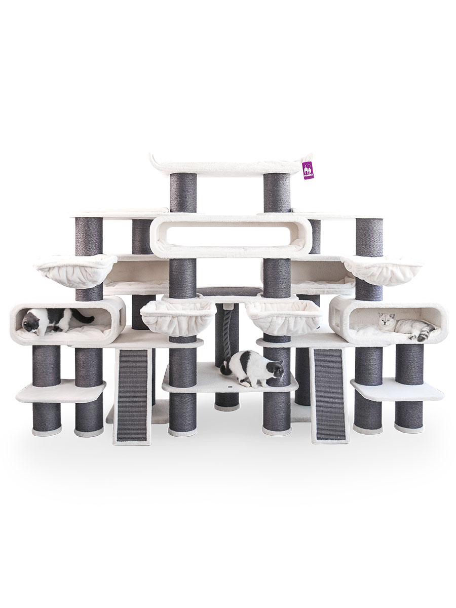 Cat Tree Expert: suitable for every cat | Petrebels