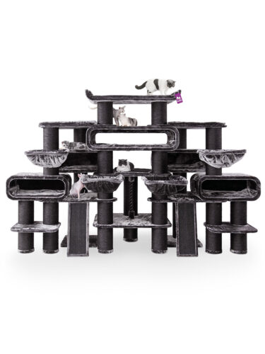 Cat Tree Expert: suitable for every cat | Petrebels