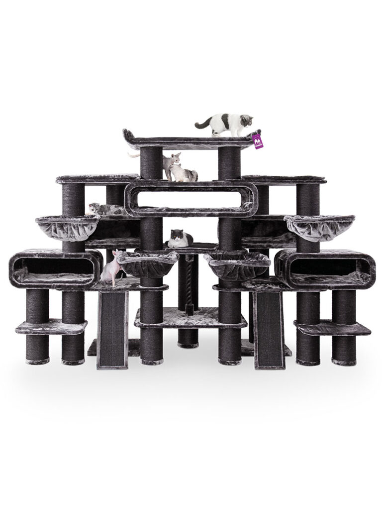 Cat Tree Expert: suitable for every cat | Petrebels