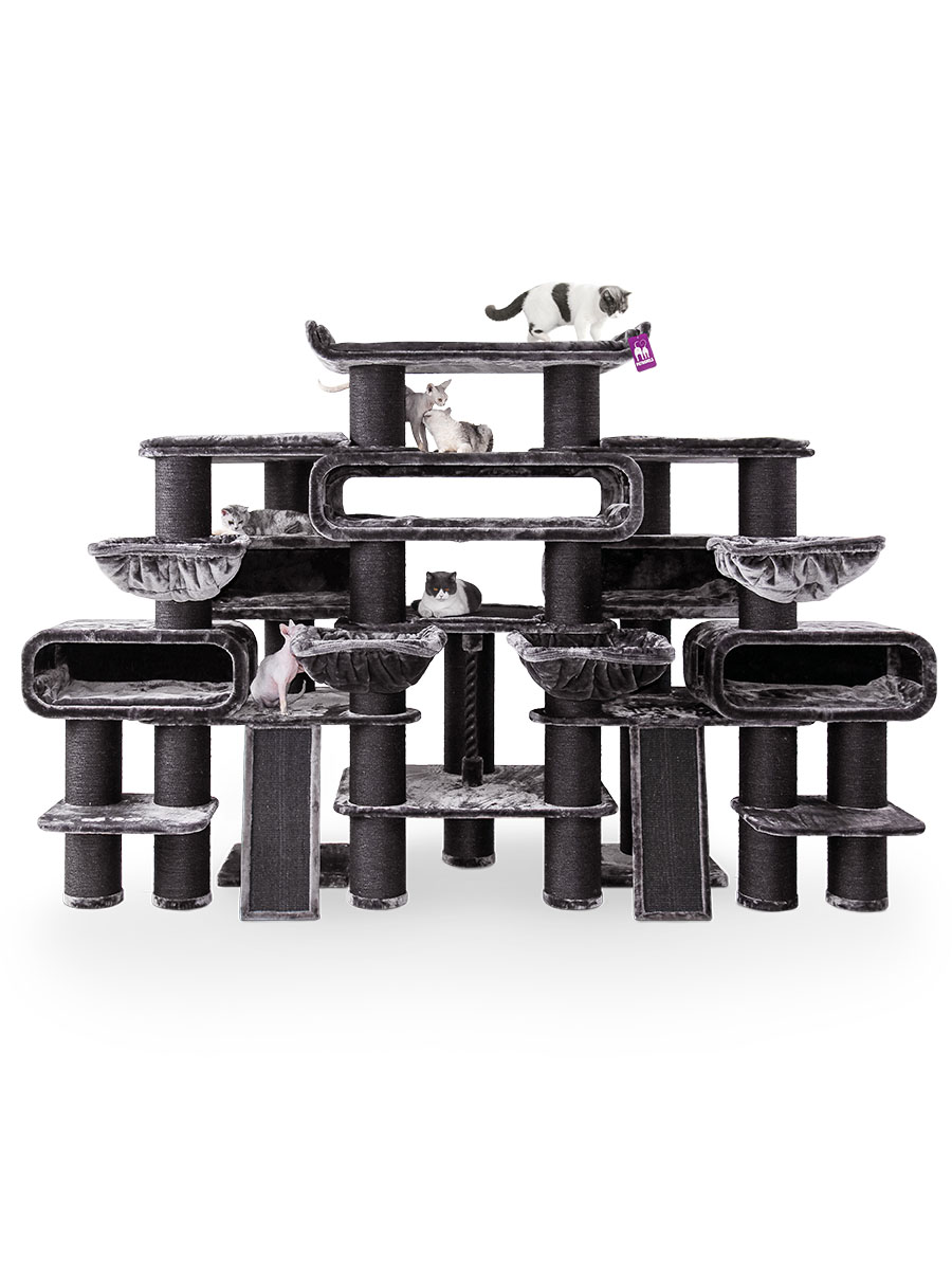 Cat Tree Expert: suitable for every cat | Petrebels