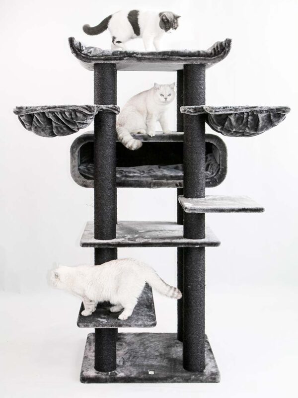 Cat Tree Expert: suitable for every cat | Petrebels