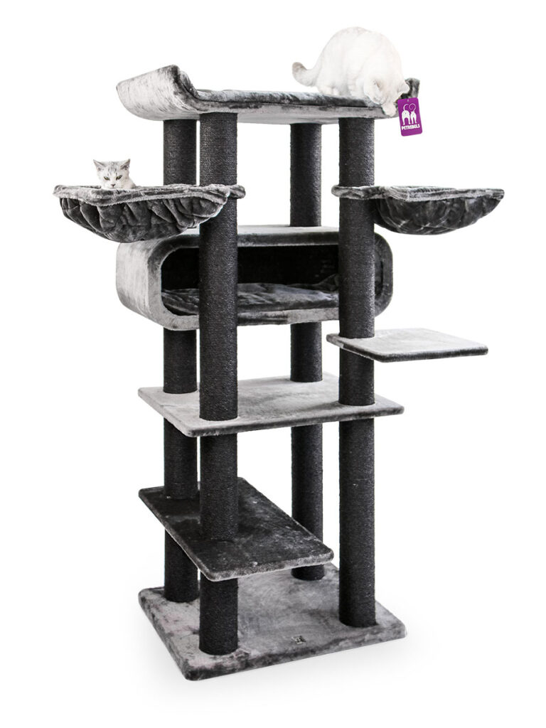 Cat Tree Expert: suitable for every cat | Petrebels