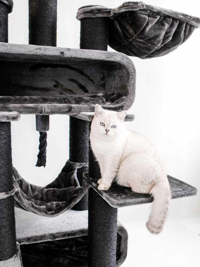 Cat tree Route 210 - Petrebels