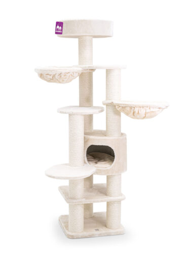 Cat Tree Expert: suitable for every cat | Petrebels