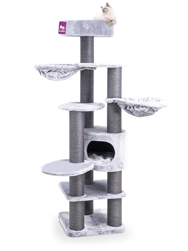 Cat Tree Expert: suitable for every cat | Petrebels