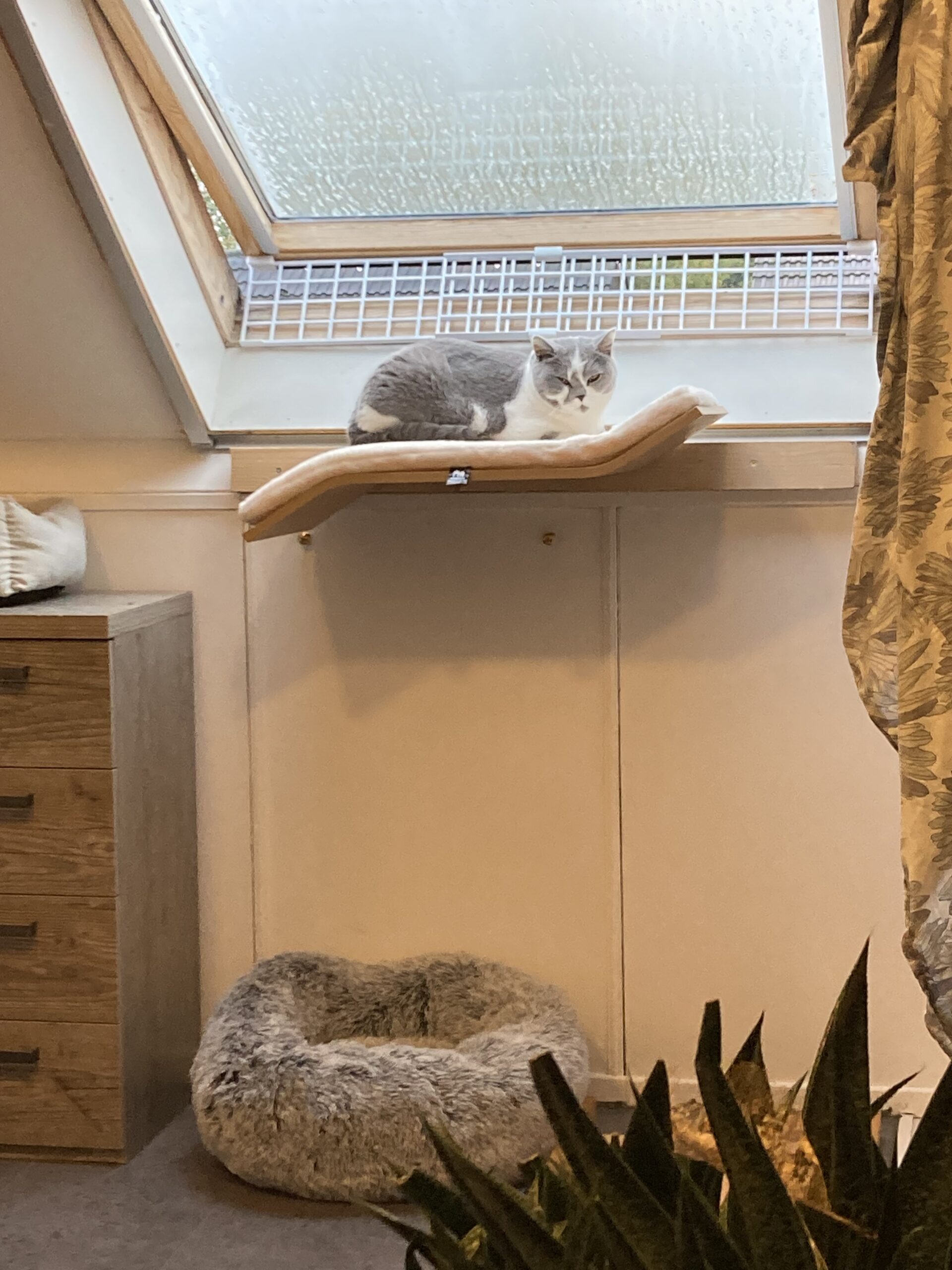 Cat Shelves Wave 70 - Old Grey - wall mounting - design - Petrebels