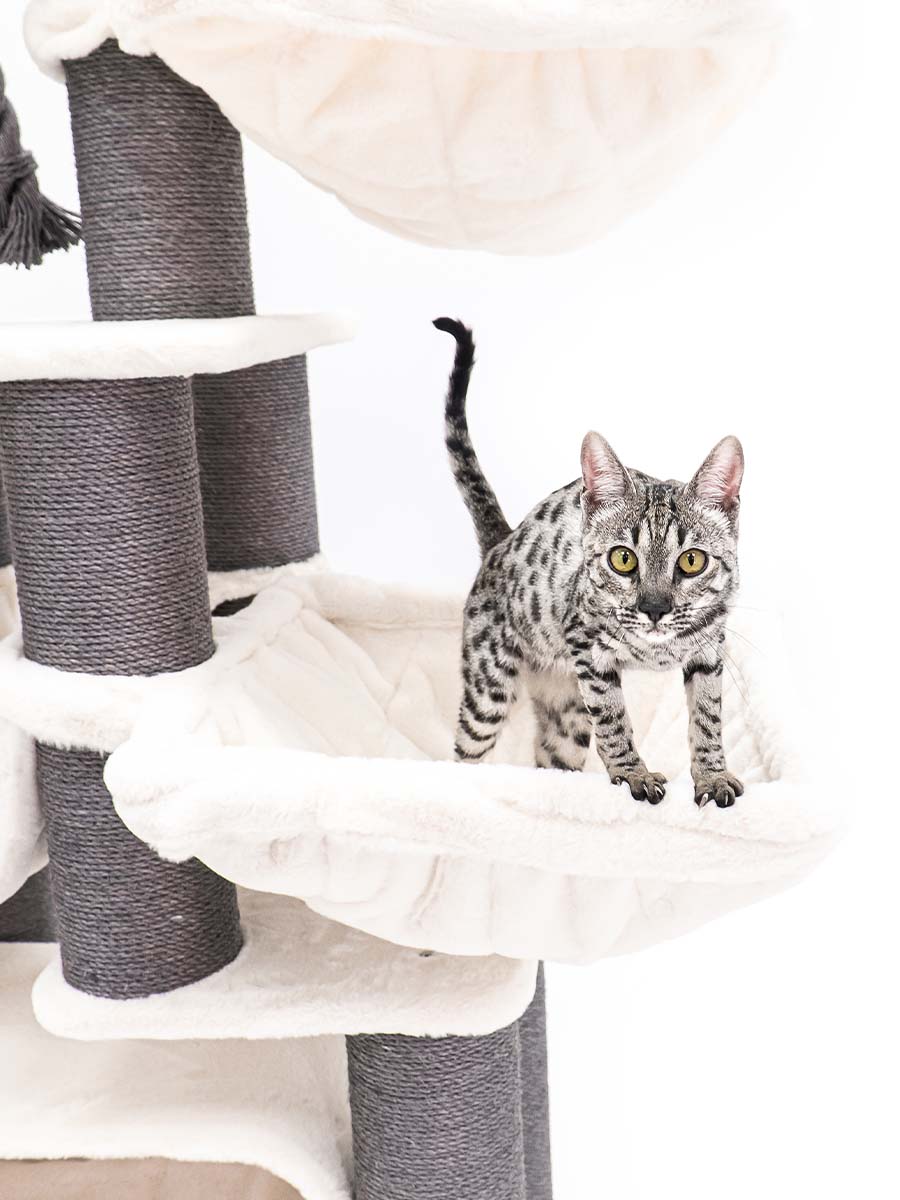 Cat tree Skyline 186 - Off White - 15cm Post - XXL - for multiple cats ...