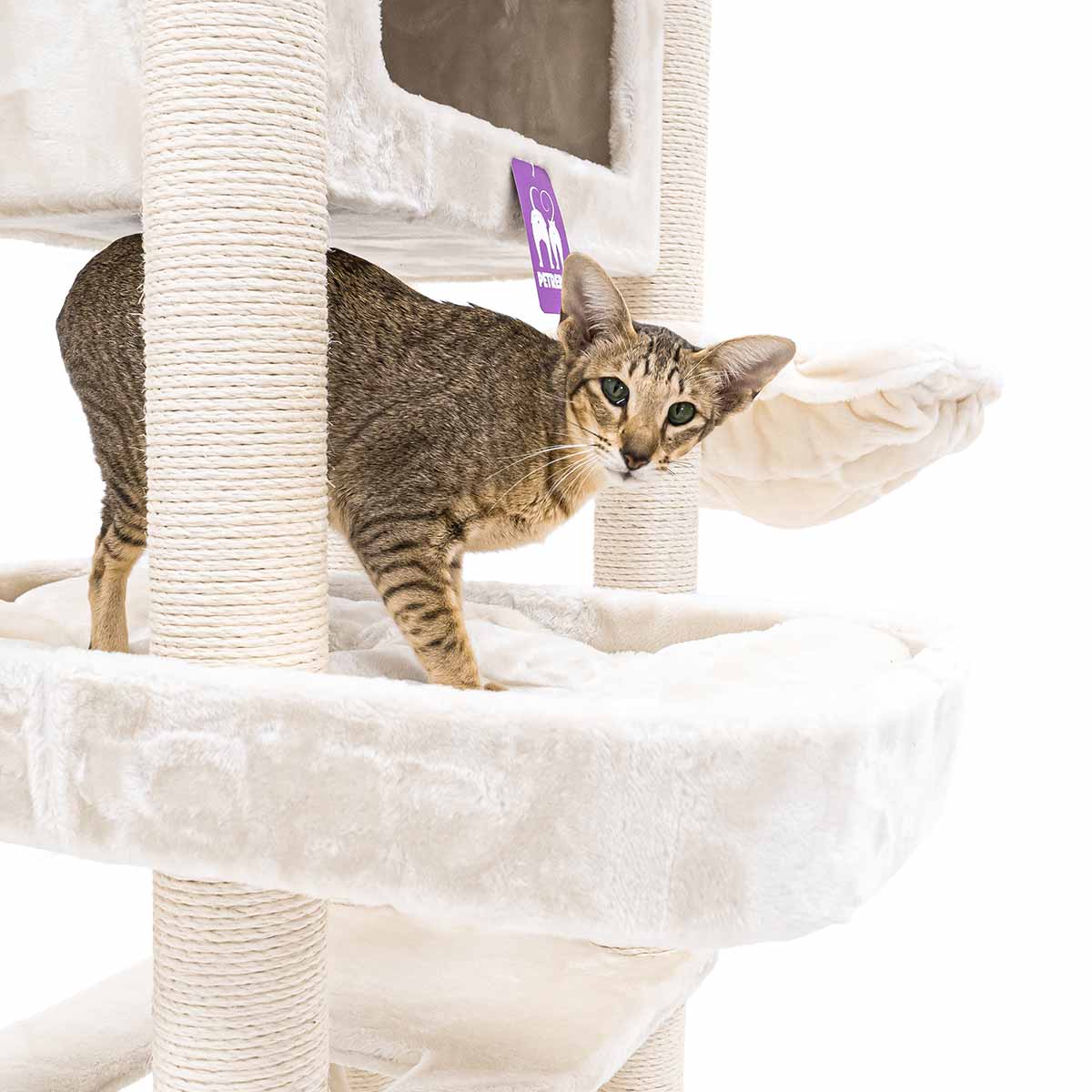 Cat Tree Mansion 150 - Cream - 9cm Post - with hammock - Petrebels