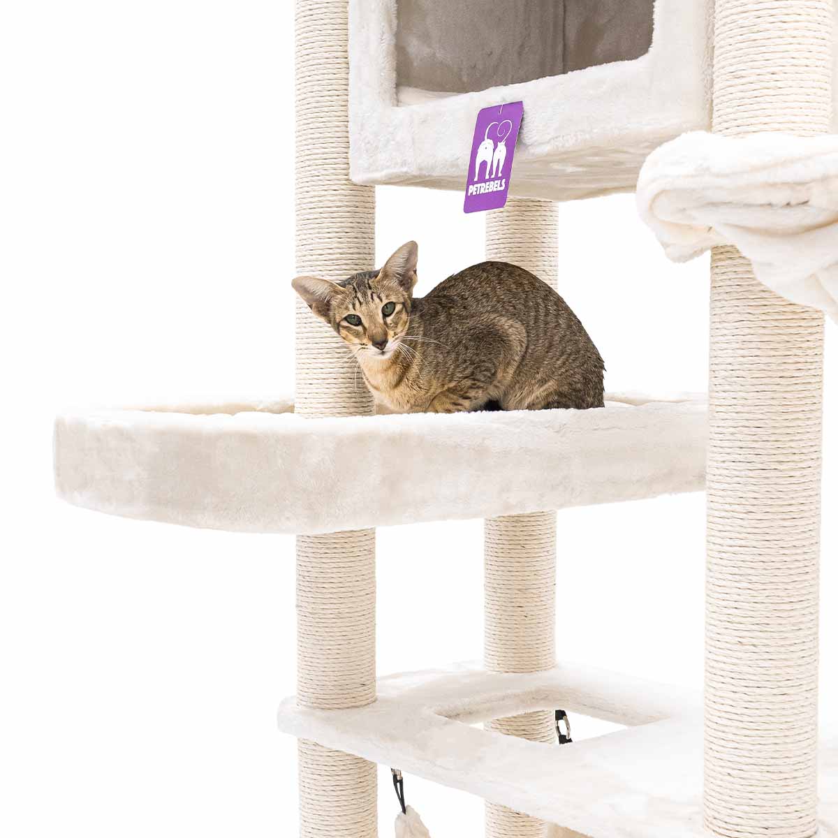 Cat Tree Mansion 150 - Cream - 9cm Post - with hammock - Petrebels
