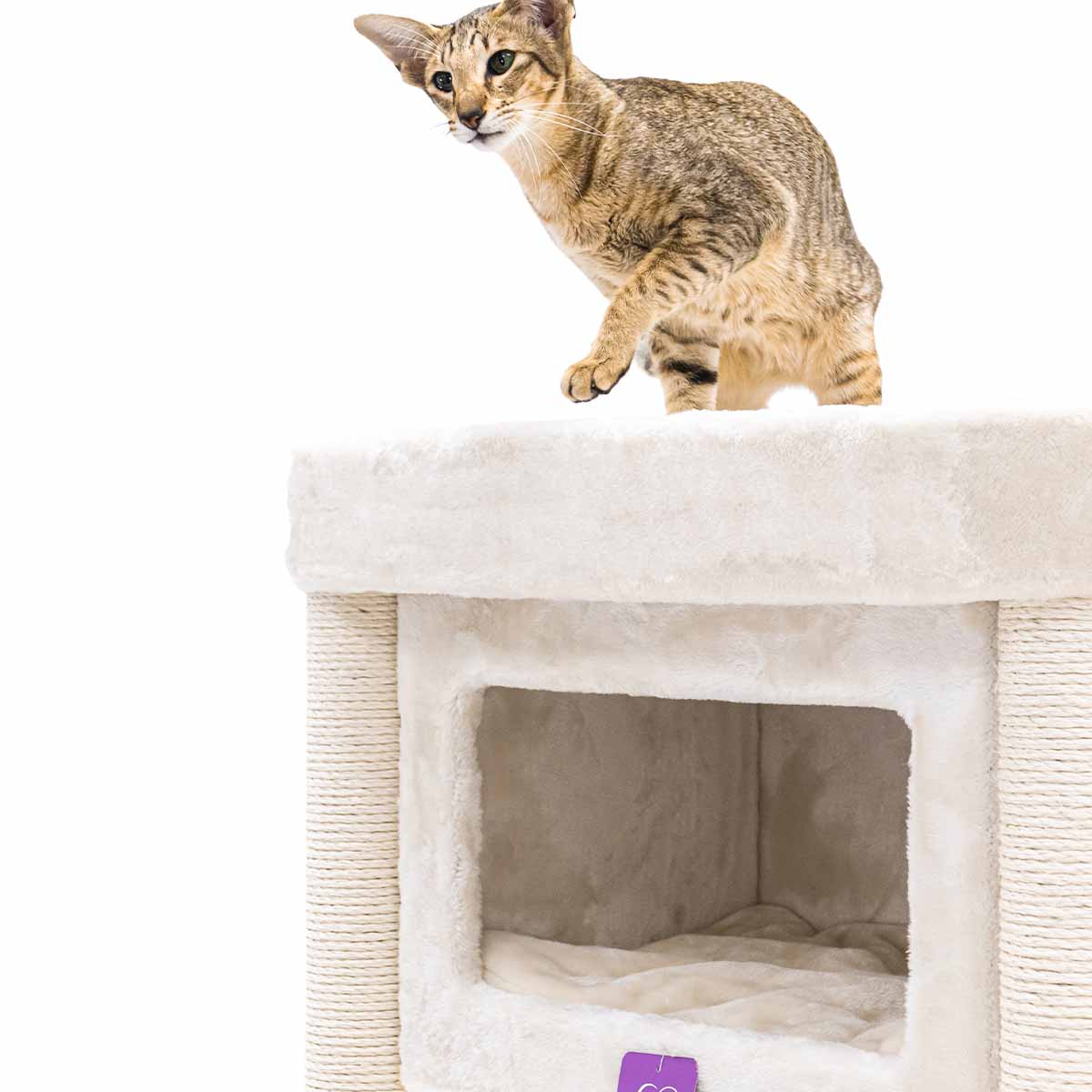 Cat Tree Mansion 150 - Cream - 9cm Post - with hammock - Petrebels