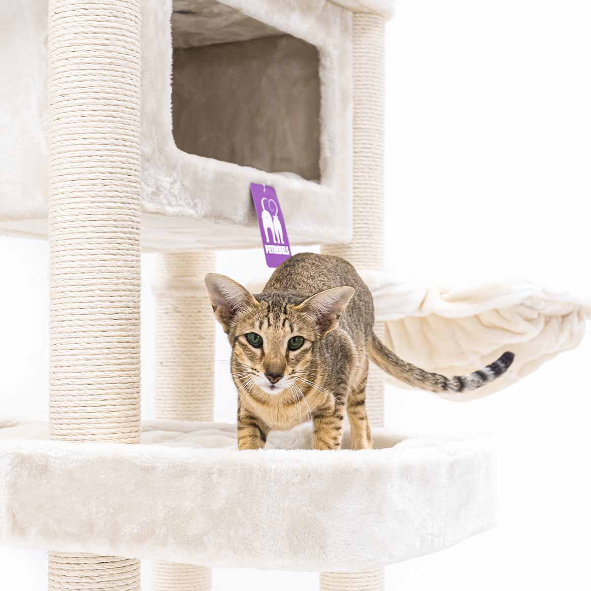 Cat Tree Mansion 150 - Cream - 9cm Post - with hammock - Petrebels