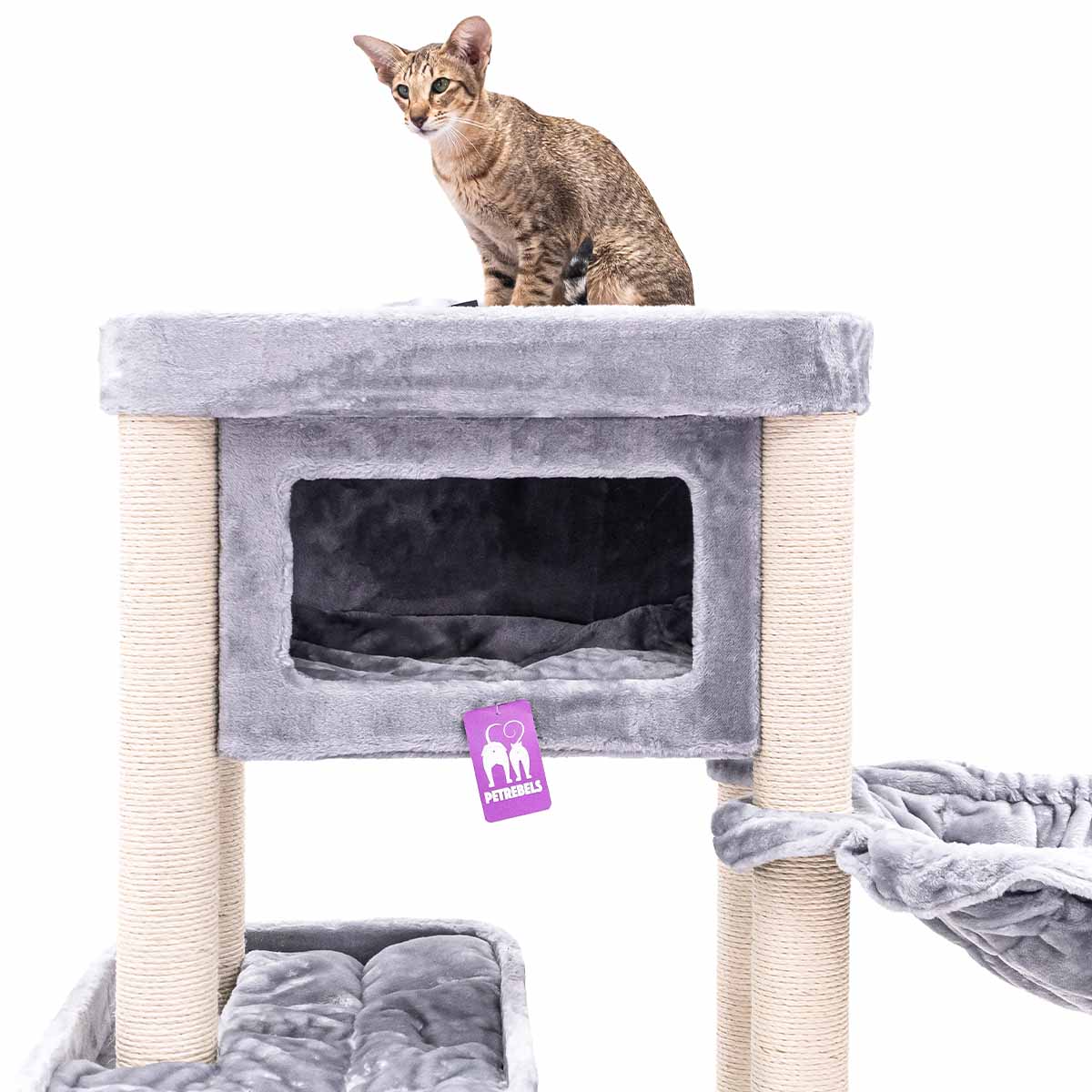 Cat Tree Mansion 150 - Grey - 9cm Post - with hammock - Petrebels