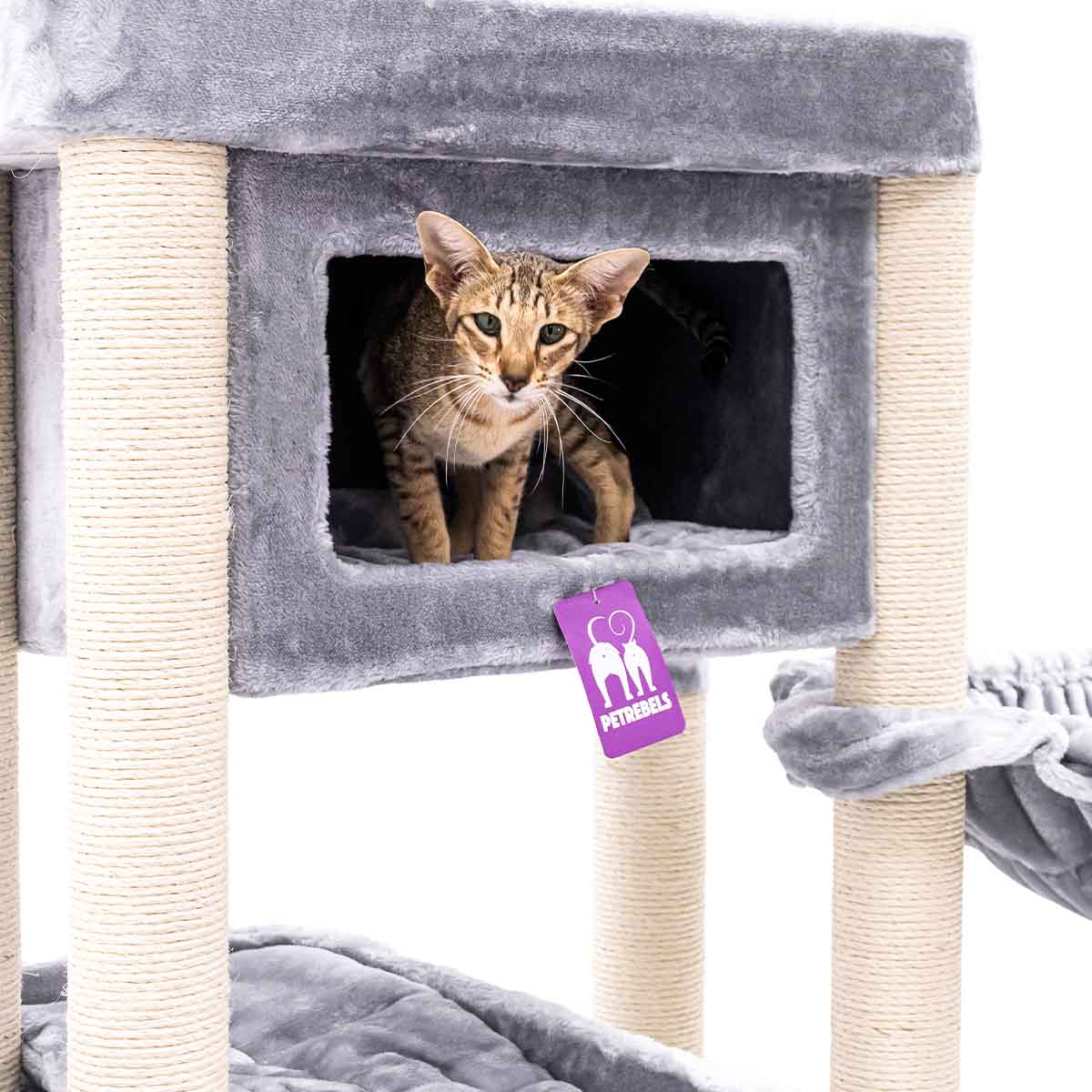 Cat Tree Mansion 150 - Grey - 9cm Post - with hammock - Petrebels