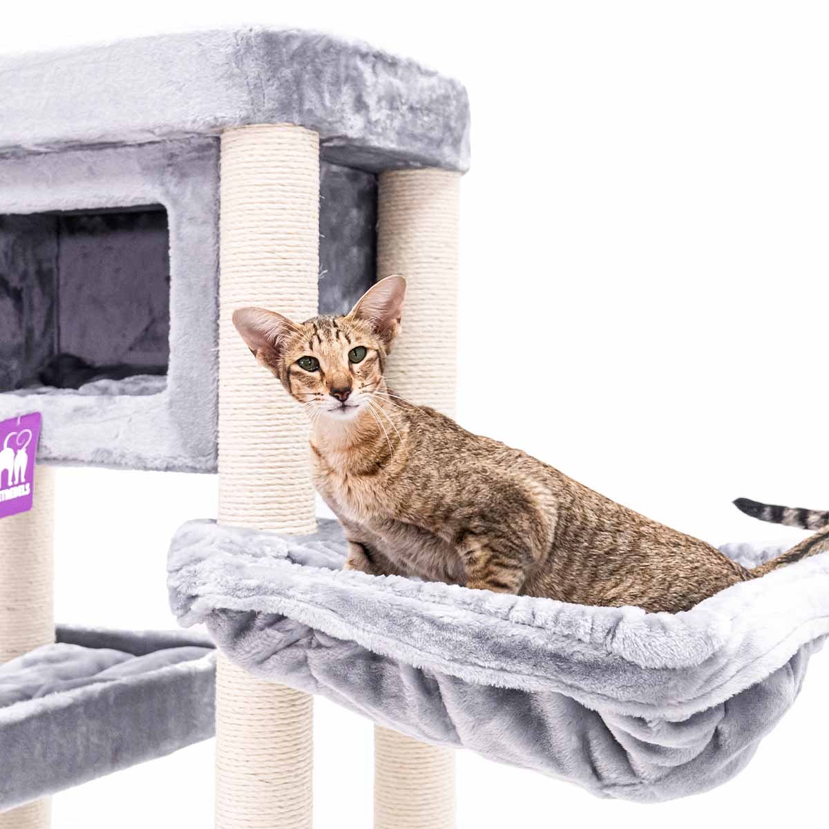 Cat Tree Mansion 150 - Grey - 9cm Post - with hammock - Petrebels