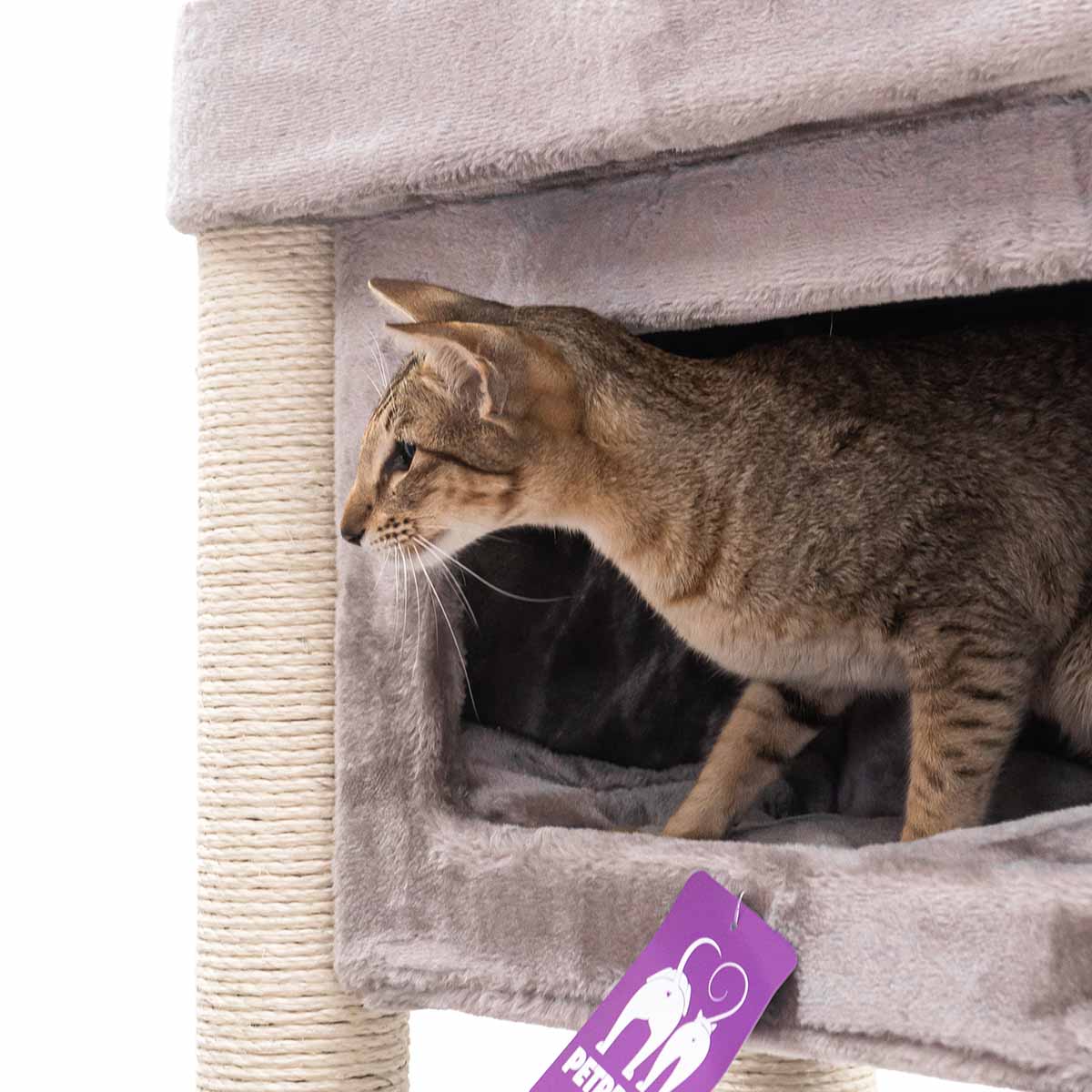 Cat Tree Mansion 150 - Cappuccino - 9cm Post - with hammock - Petrebels