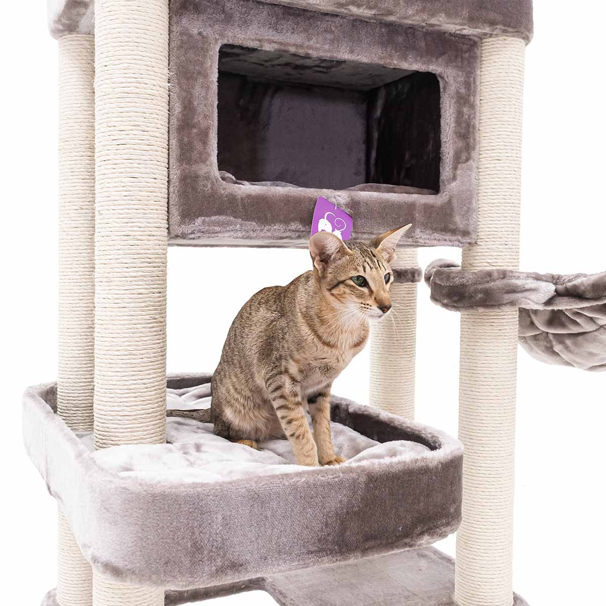 Cat Tree Mansion 150 - Cappuccino - 9cm Post - with hammock - Petrebels