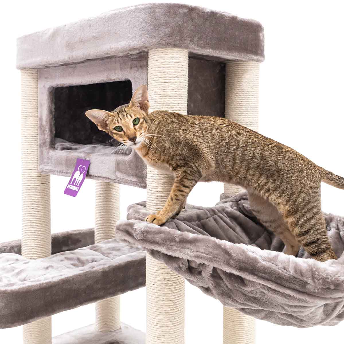 Cat Tree Mansion 150 - Cappuccino - 9cm Post - with hammock - Petrebels