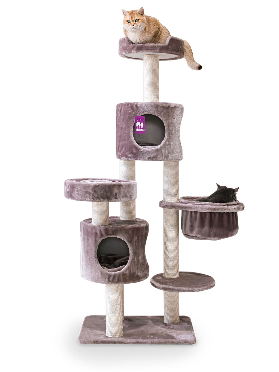 Cat Tree Residence 165 - Cappuccino - 9cm Post - with hammock - Petrebels