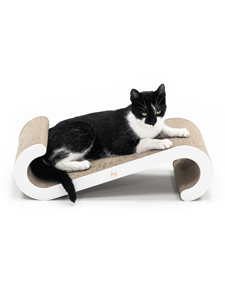 Cardboard cat scratching post Bella 60 - White - Recycled cardboard ...