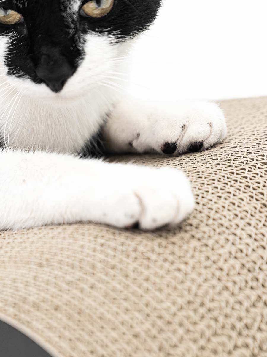 Cardboard cat scratching post Bella 60 - White - Recycled cardboard ...