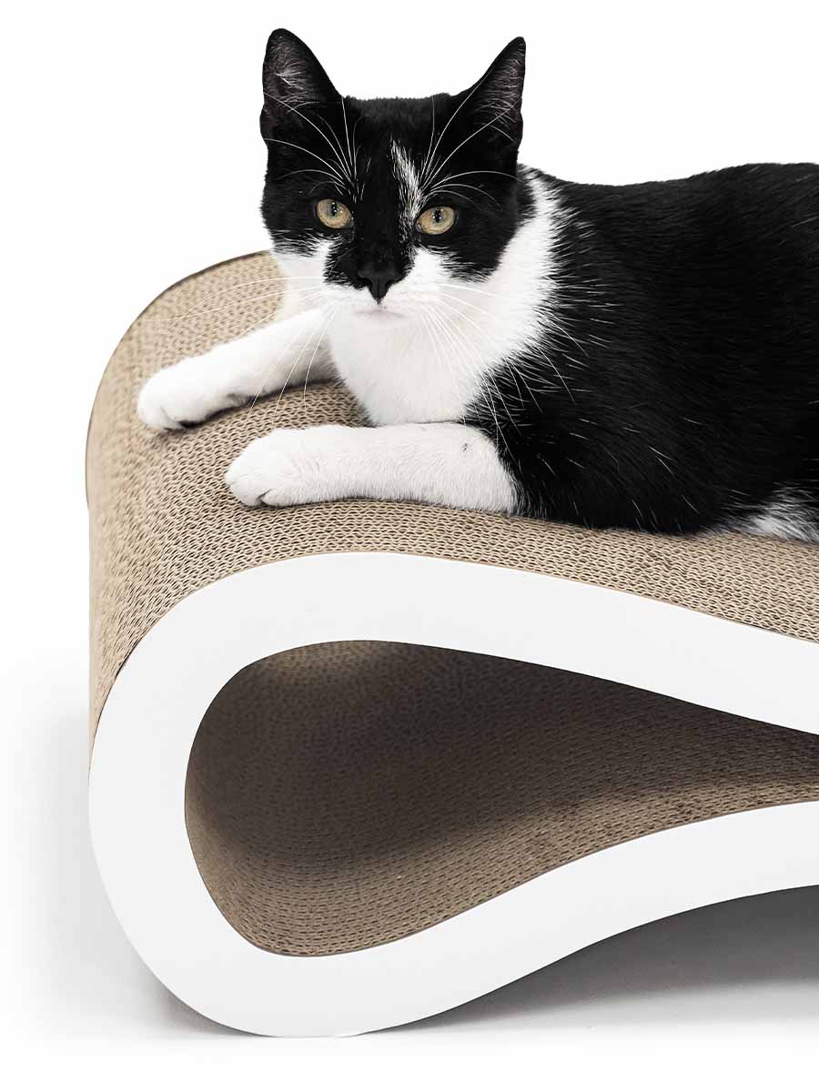 Cardboard cat scratching post Simba 75 - White - Recycled cardboard ...