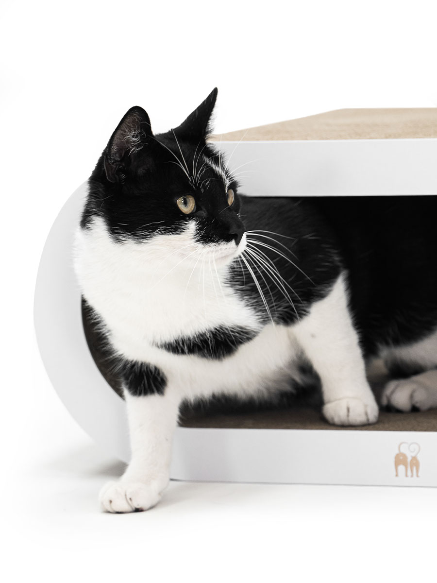 Cardboard cat scratching post Daisy 59 - White - Recycled cardboard ...
