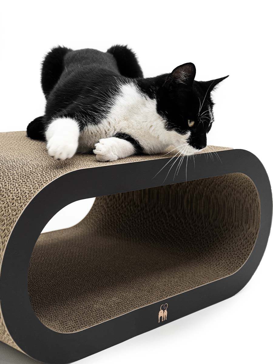 Cardboard cat scratching post Daisy 59 - Black - Recycled cardboard ...
