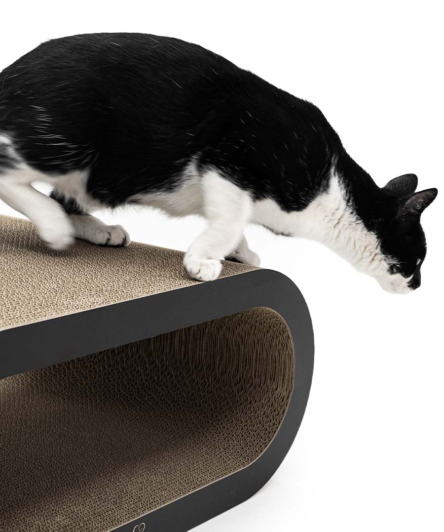 Cardboard cat scratching post Daisy 59 - Black - Recycled cardboard ...