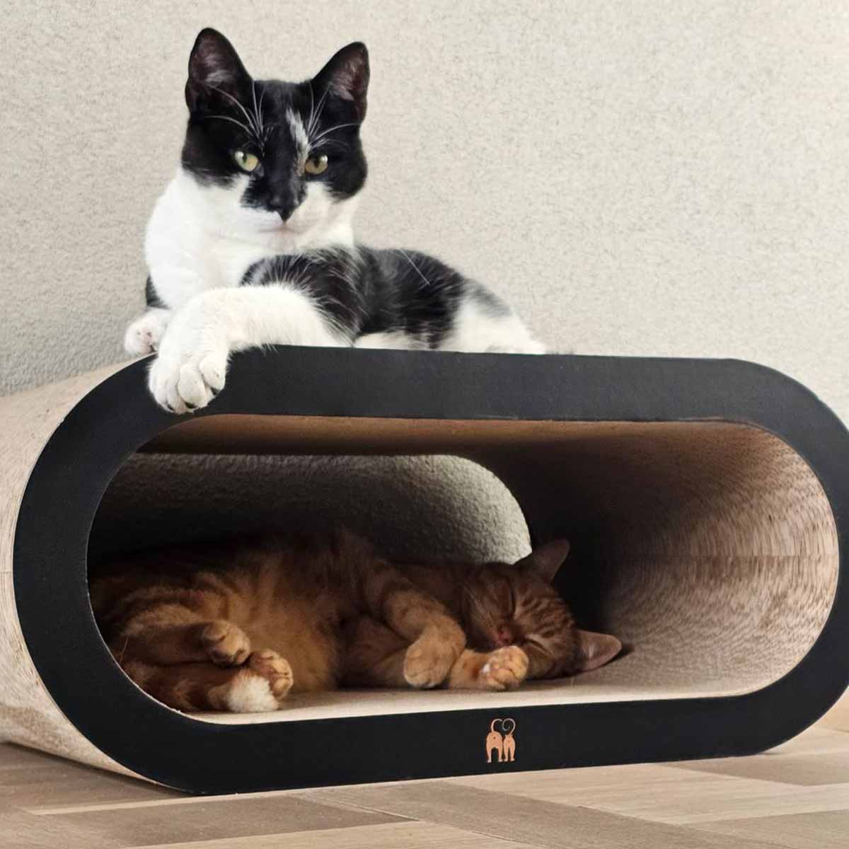 Cardboard cat scratching post Daisy 59 - Black - Recycled cardboard ...