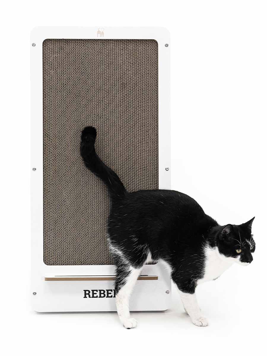 Cardboard cat scratching post Coco 80 - White - Recycled cardboard ...
