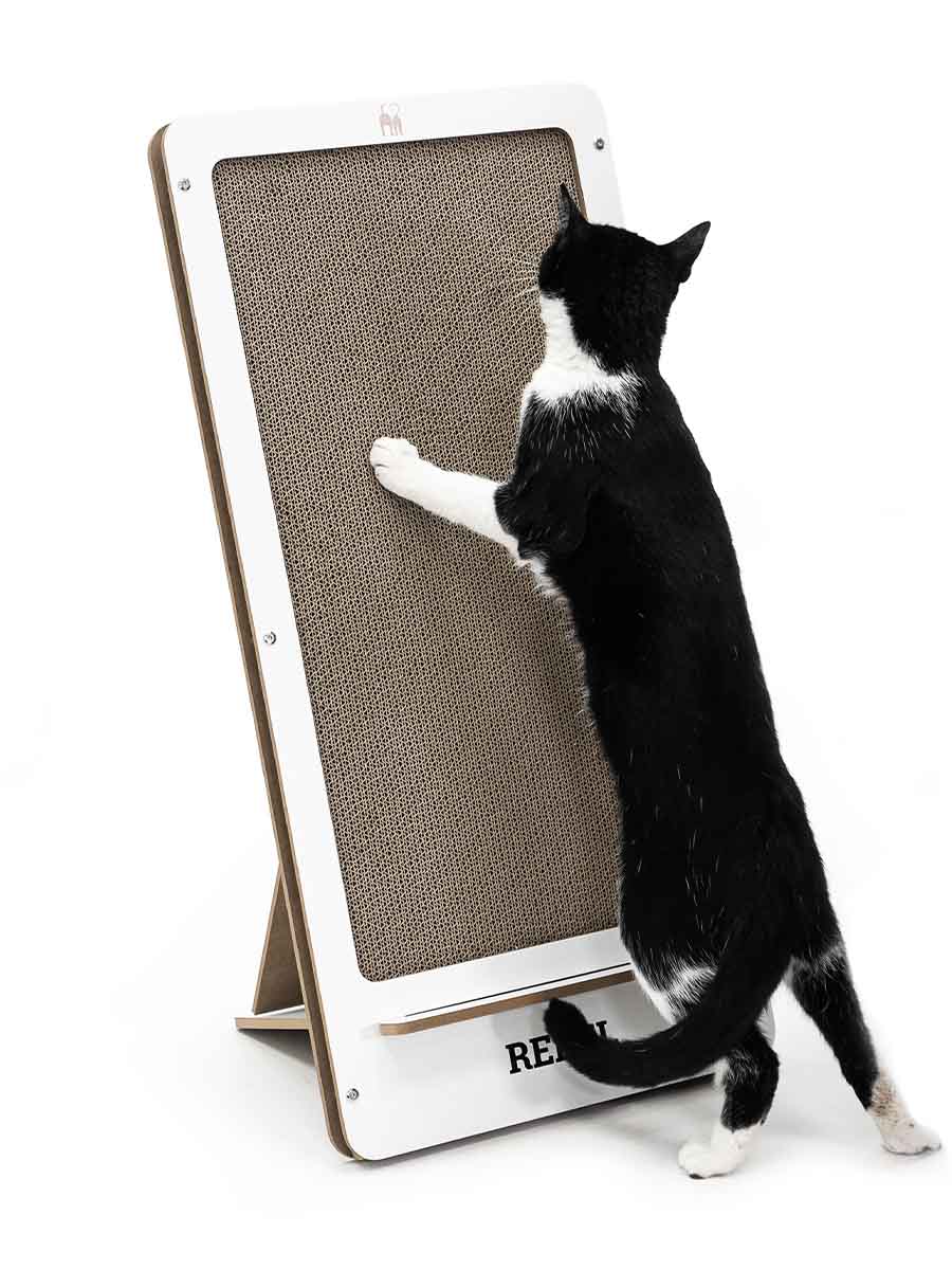 Cardboard cat scratching post Coco 80 - White - Recycled cardboard ...