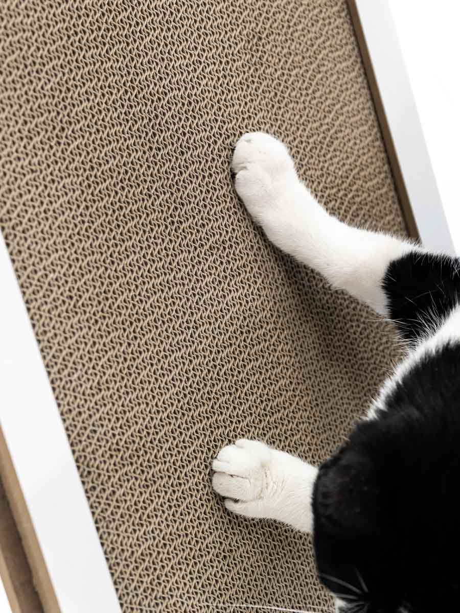 Cardboard cat scratching post Coco 80 - White - Recycled cardboard ...