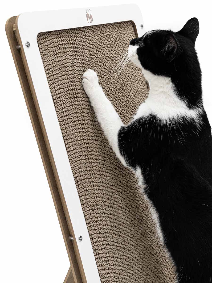 Cardboard cat scratching post Coco 80 - White - Recycled cardboard ...