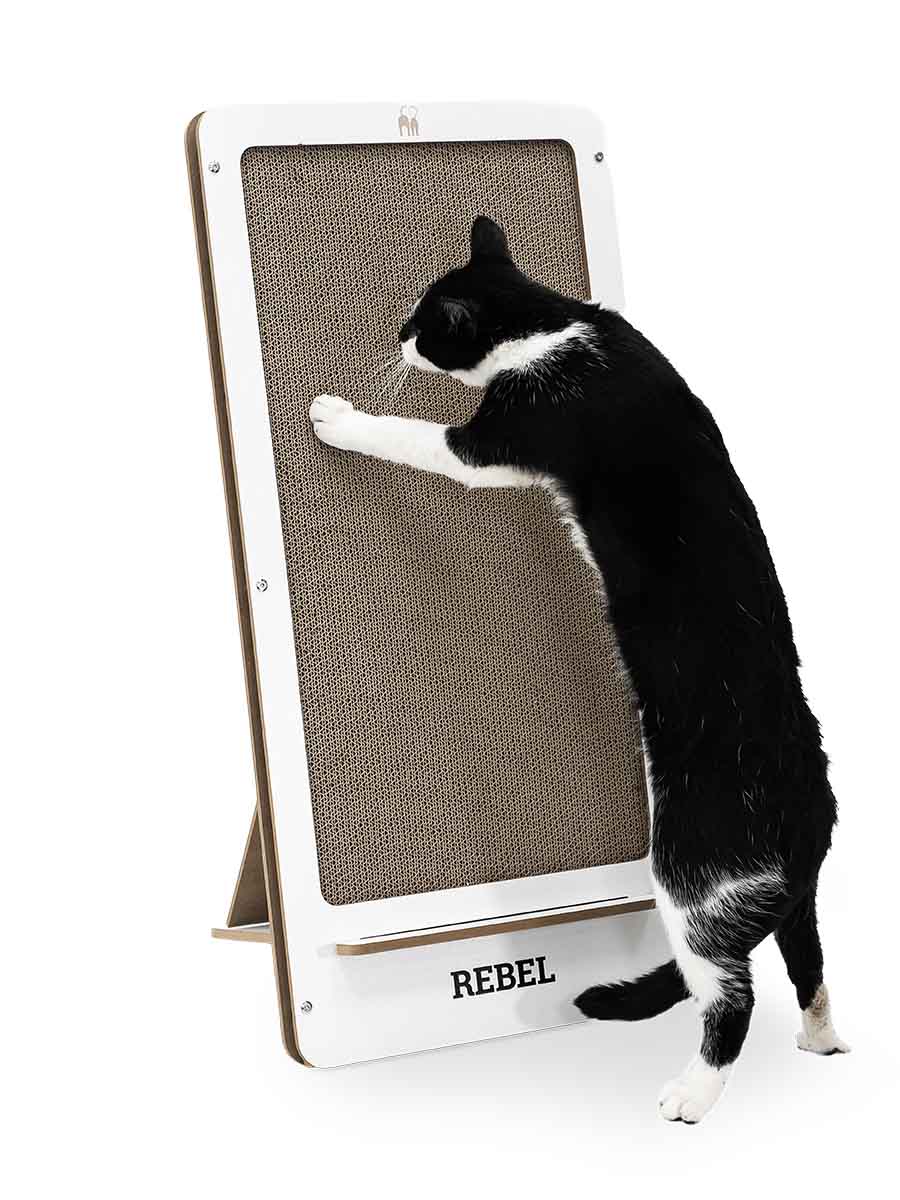 Cardboard cat scratching post Coco 80 - White - Recycled cardboard ...