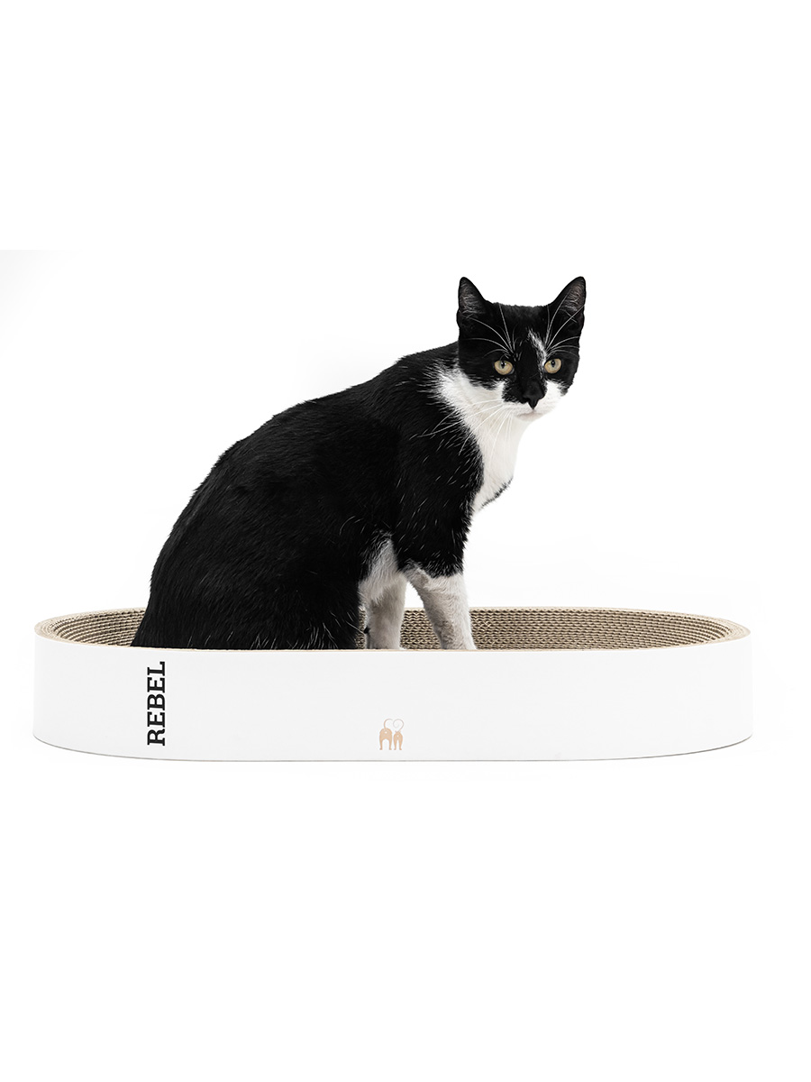 Cardboard cat scratching post Oliver 63 - White - Recycled cardboard ...