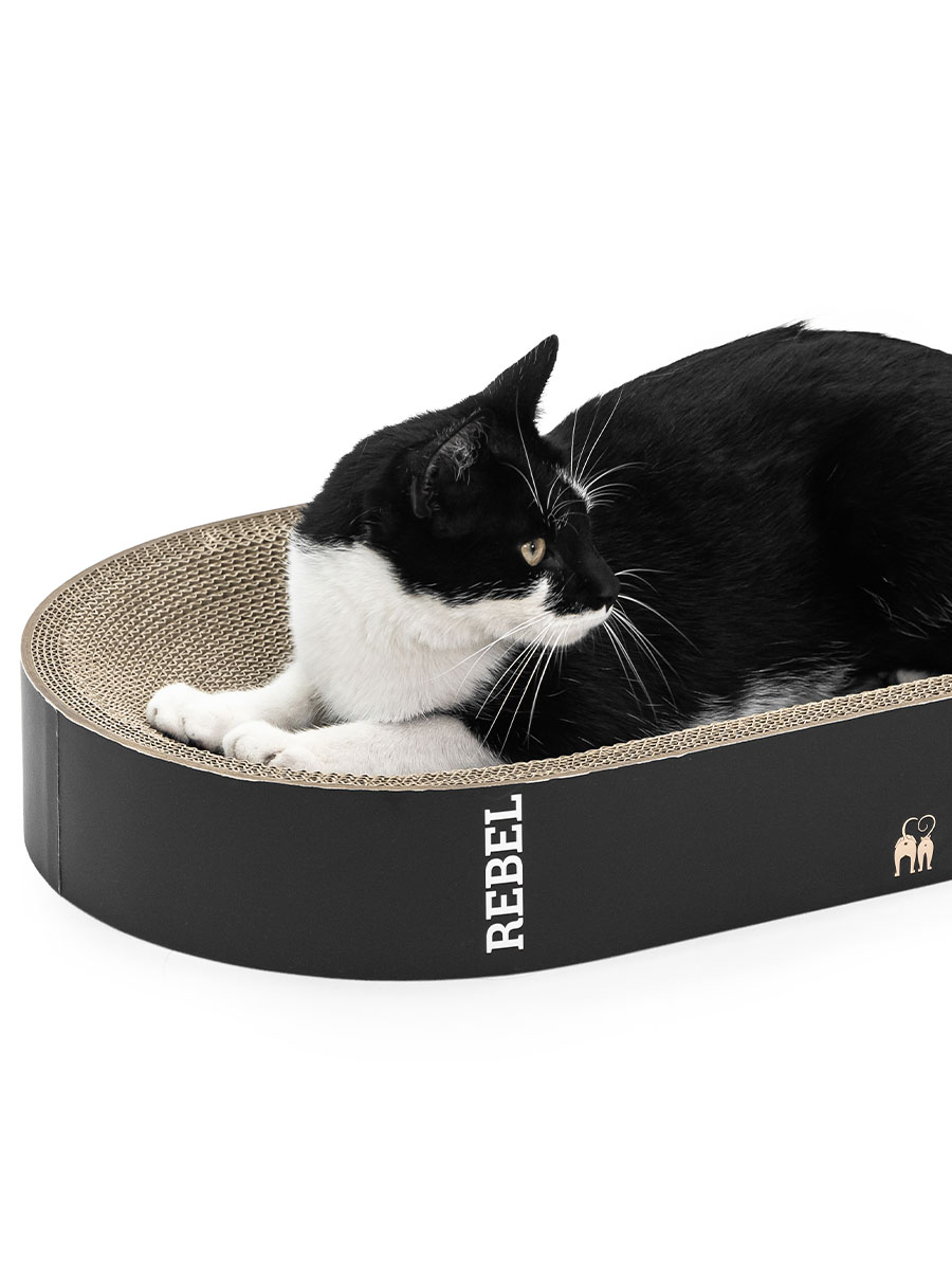 Cardboard cat scratching post Oliver 61 - Black - Recycled cardboard ...