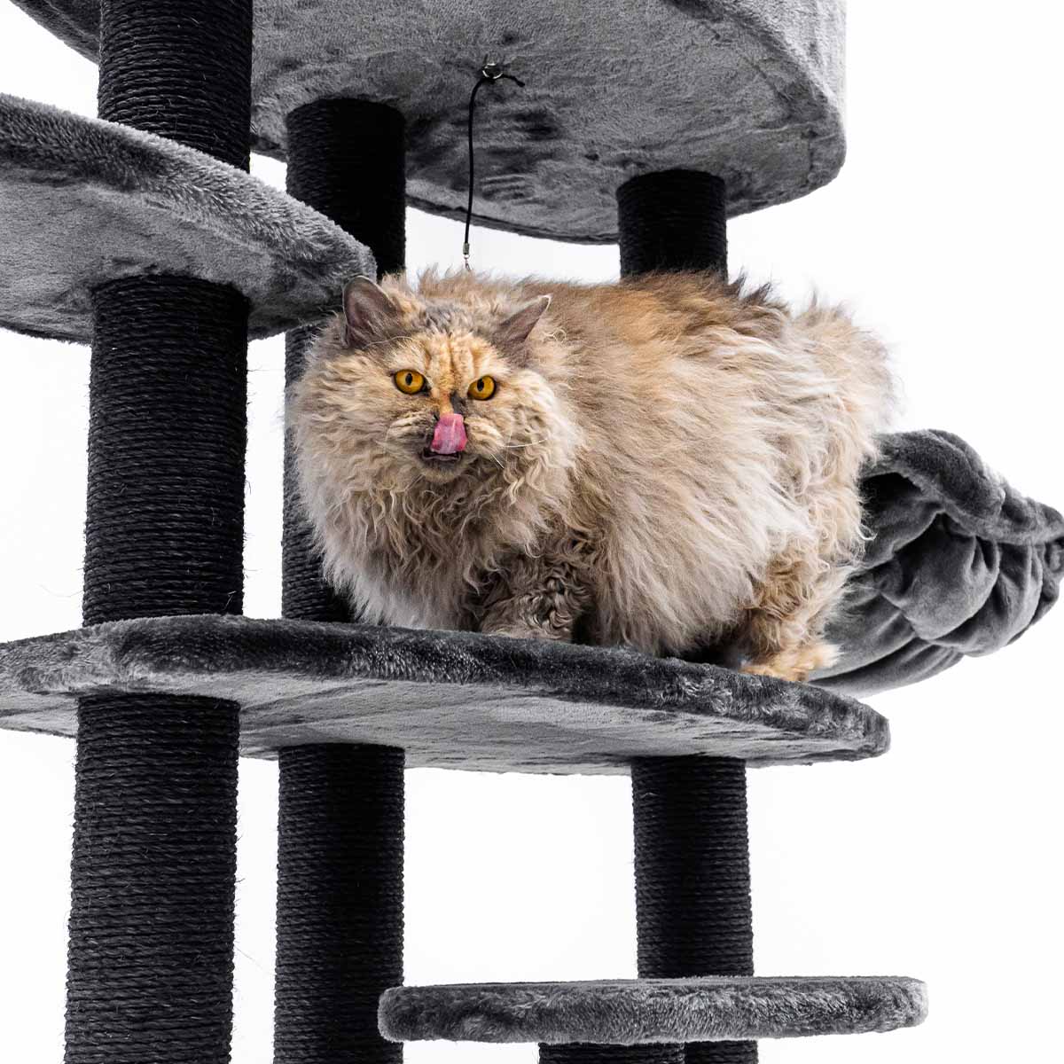 Cat Tree Alexandra 127 - Pepper - 9 cm post - with hammock - Petrebels