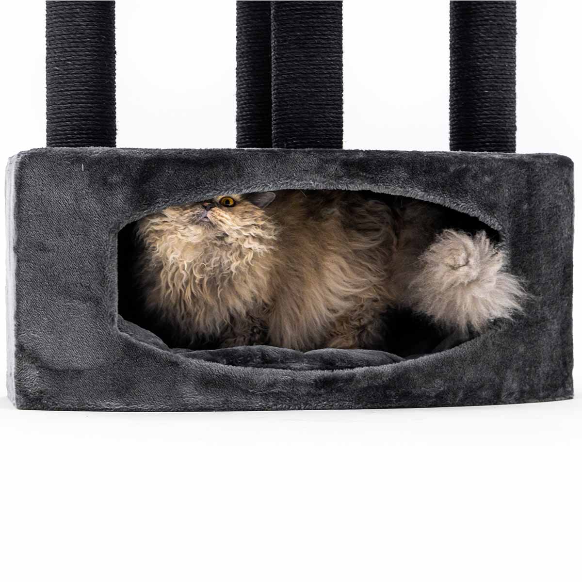 Cat Tree Alexandra 127 - Pepper - 9 cm post - with hammock - Petrebels
