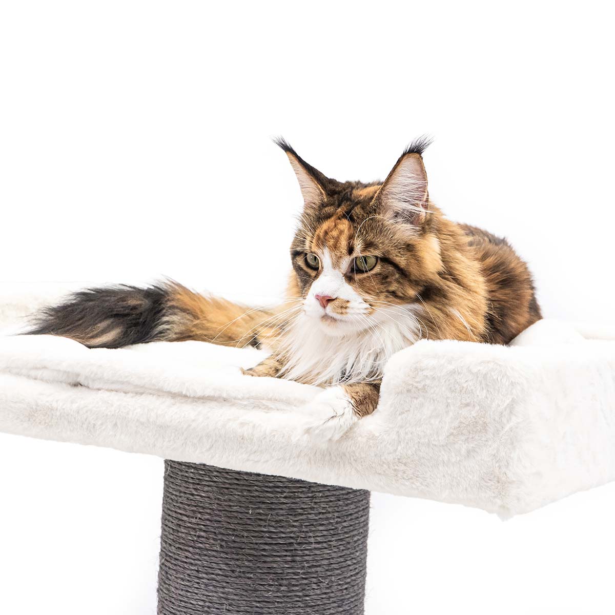 Cat Tree Maine Coon 127 - Off White - 20 cm post - for heavy cats ...