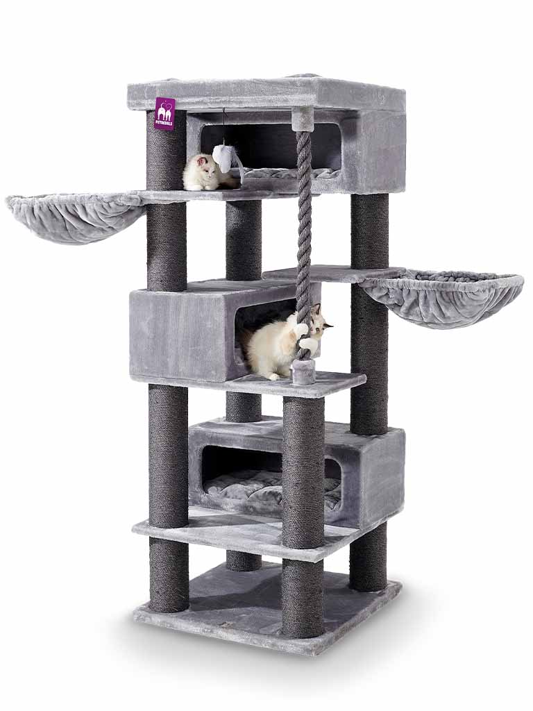 Cat Tree Expert: suitable for every cat | Petrebels