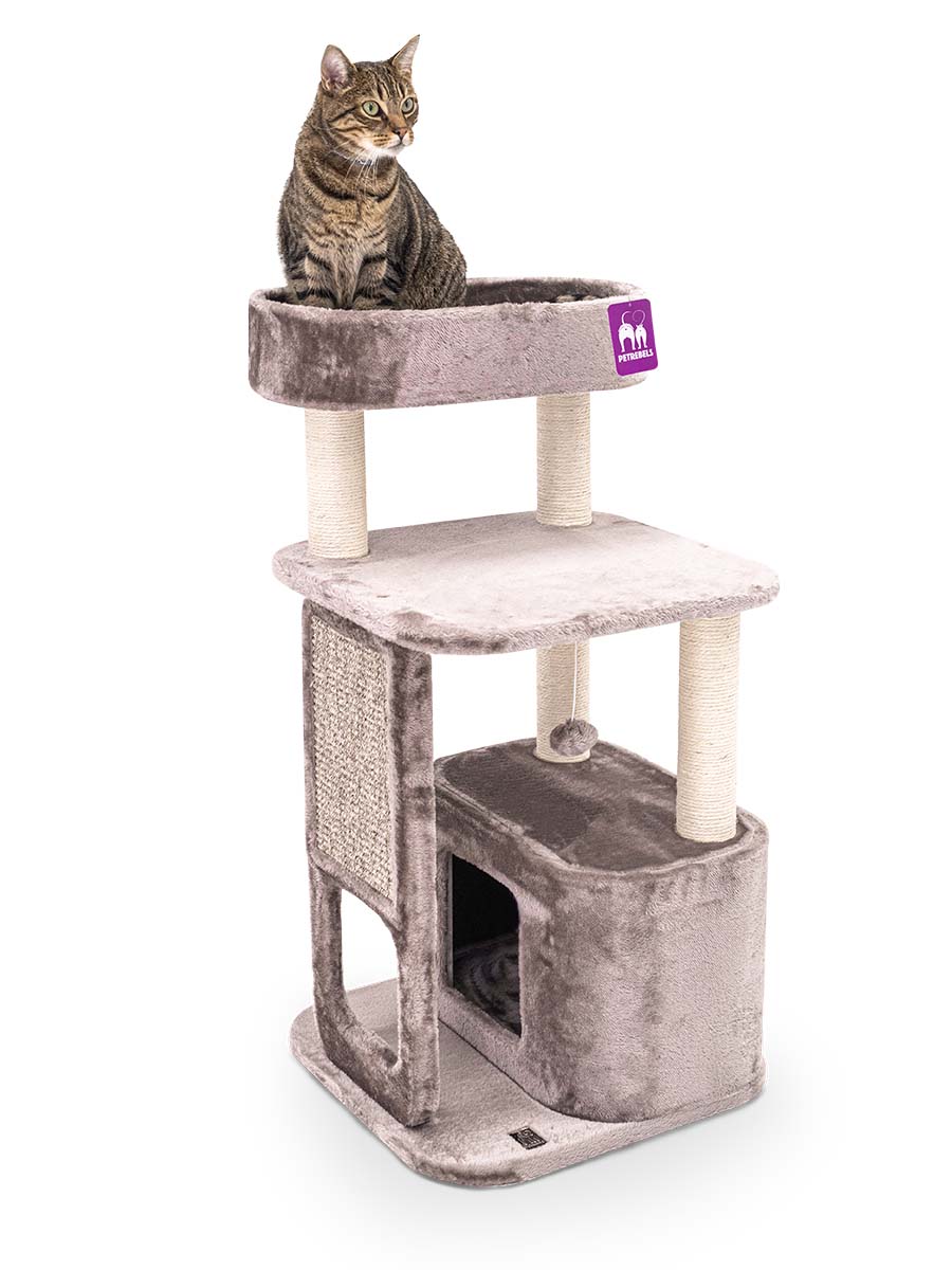Arbre à chat Little Rock 99 - Cappuccino - poteau 7 cm diamètre ...