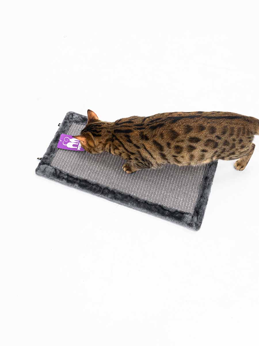 Griffoir Scratch Corner 57 - Grise - tapis en sisal extra fort - Petrebels