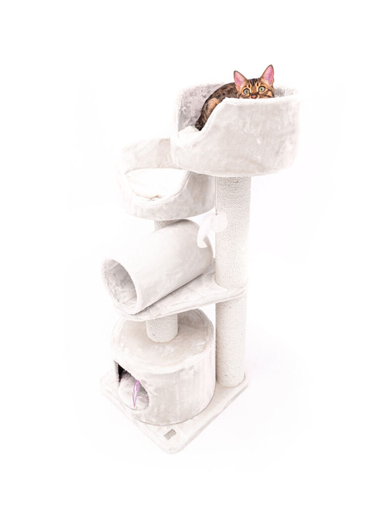 Arbre à chat Victoria 125 - Petrebels