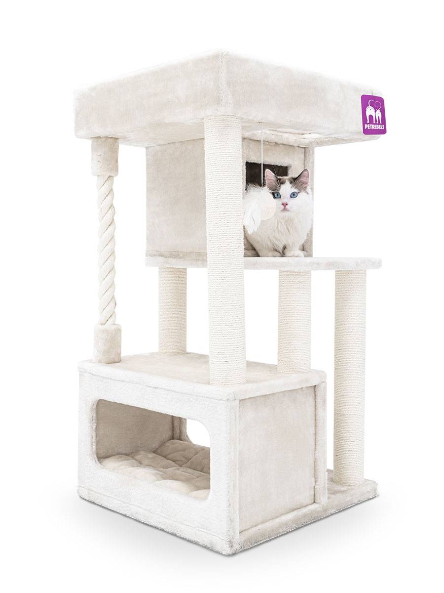 Arbre à Chat Pour Chat - Stabilité Garantie - Petrebels