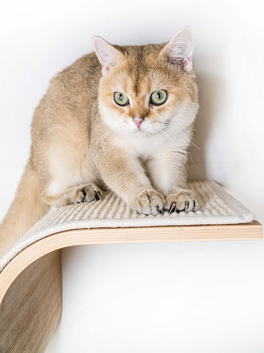 Arbre à chat Mural Scratch 70 - Petrebels