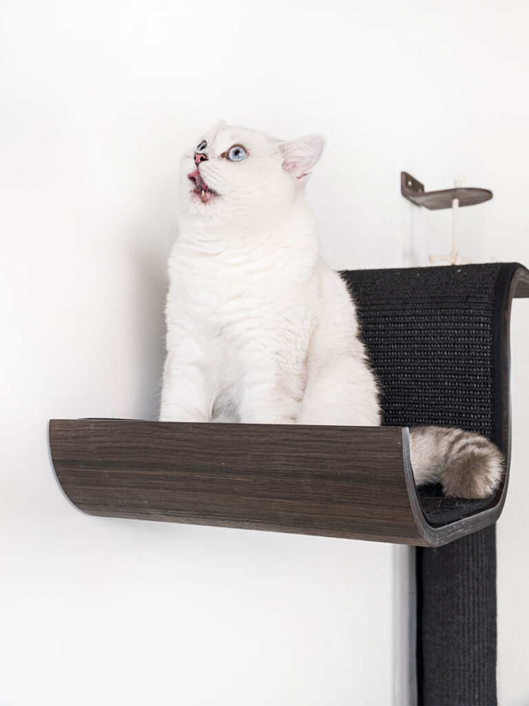 Arbre à chat Mural Scratch 70 - Petrebels