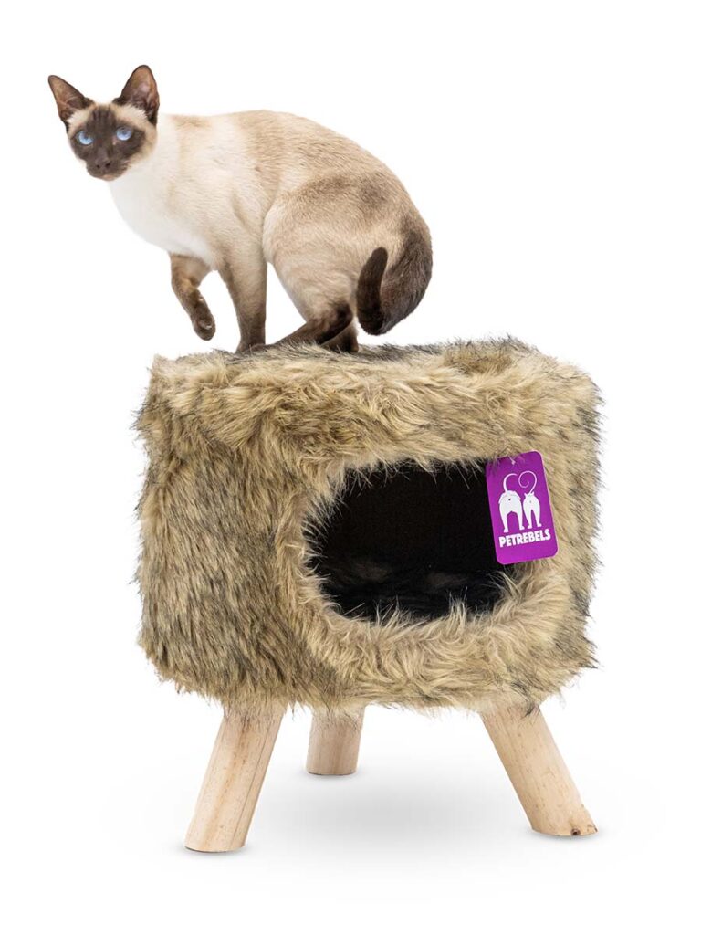 Design Krabpalen: unieke luxe stijl voor jouw kat | Petrebels