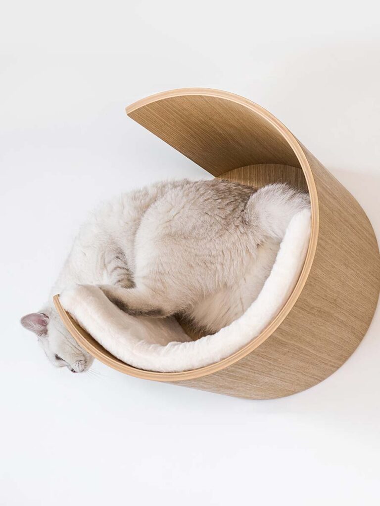 Kattenmuur Moon 40 - Petrebels