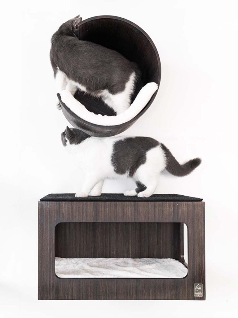 Kattenmuur Moon 40 - Petrebels